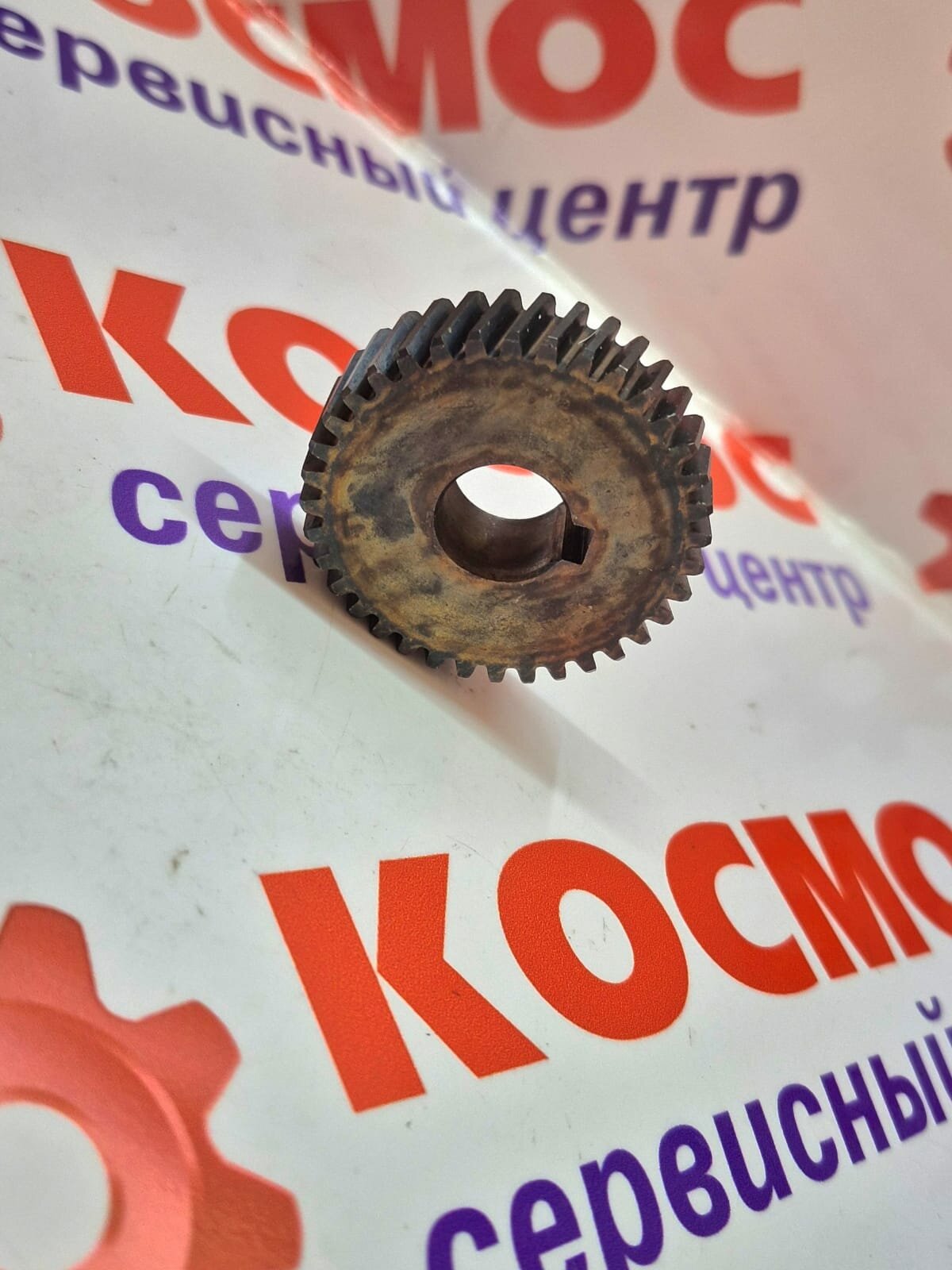 Шестерня циркулярной пилы ЗУБР ПДП-75