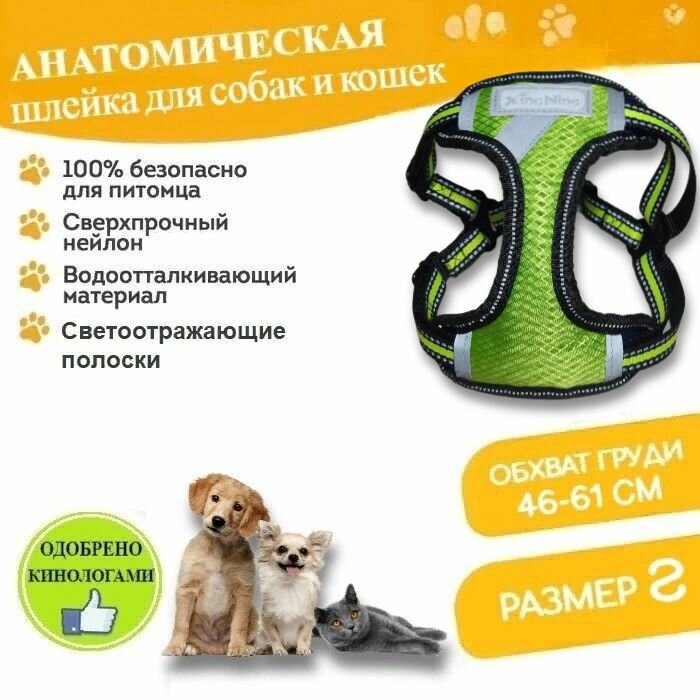 Шлейка для собак мелких пород и кошек Xing Ning анатомическая обхват груди S (46-61 см), с поводком 115 см светоотражающая салатовая/зеленая