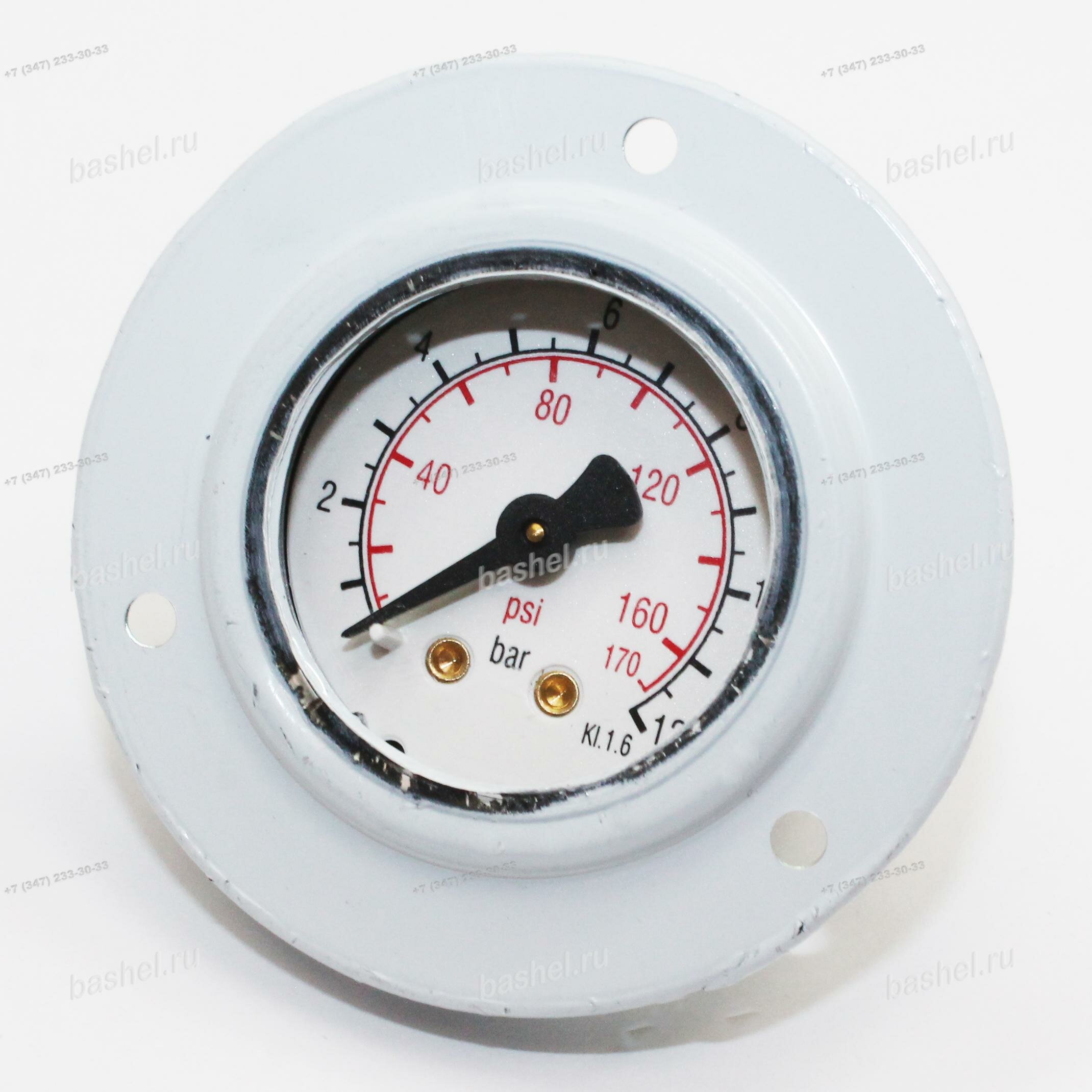 M043-F12 D39, фланц, 12 бар, R1/8, Манометр, Camozzi