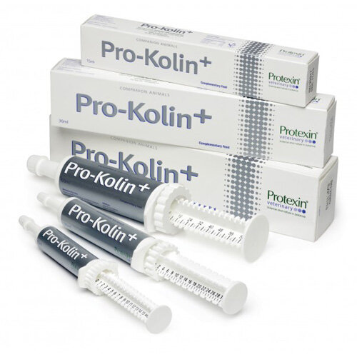 Кормовая добавка Protexin "Про-Колин", для собак и кошек, пробиотик, 15 мл — фото 1