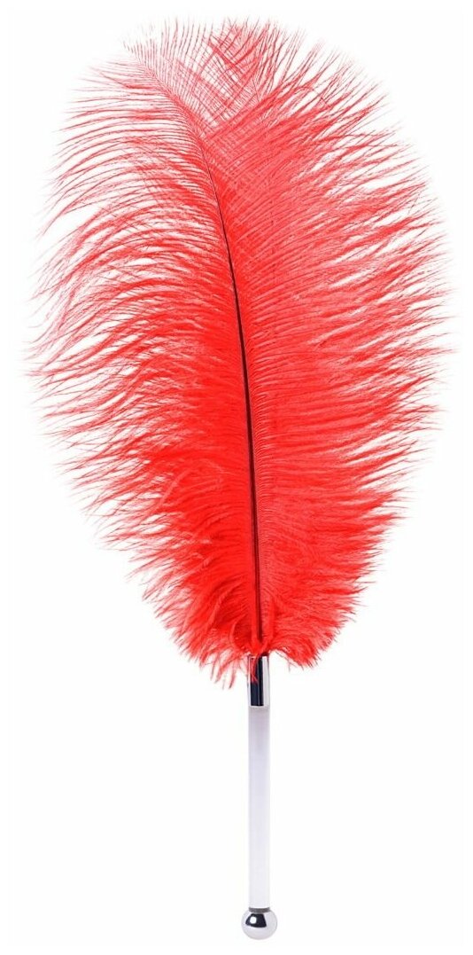 Красное страусиное пёрышко - 40 см,40 см, красный, перья, Унисекс, BDSM, садо-мазо товары