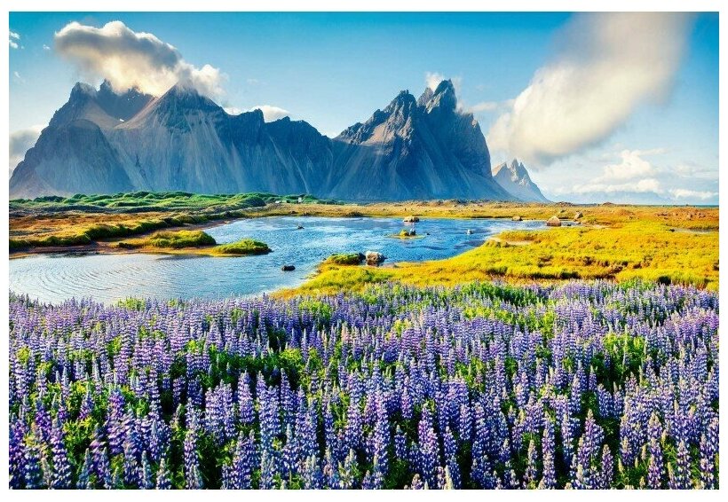 Фотообои Milan Цветущие предгорья, M 6036, 200х135 см, виниловые на флизелиновой основе