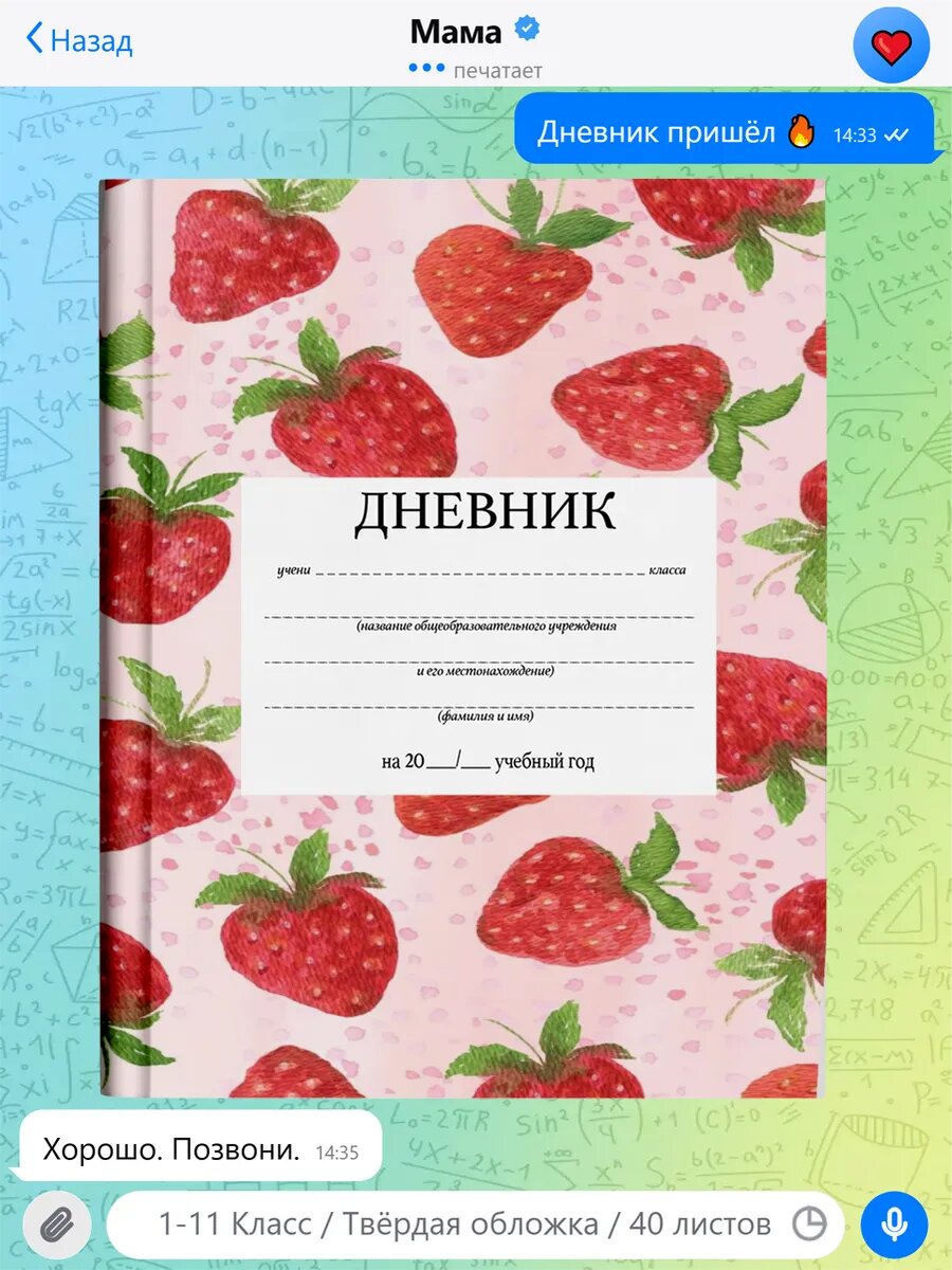 Школьный дневник с принтом y2k pinterest