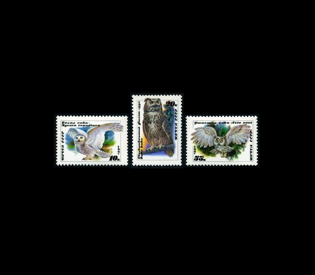 Почтовые марки СССР 1990 г. Фауна. Птицы. Совы. Серия из 3 марок. MNH(**)