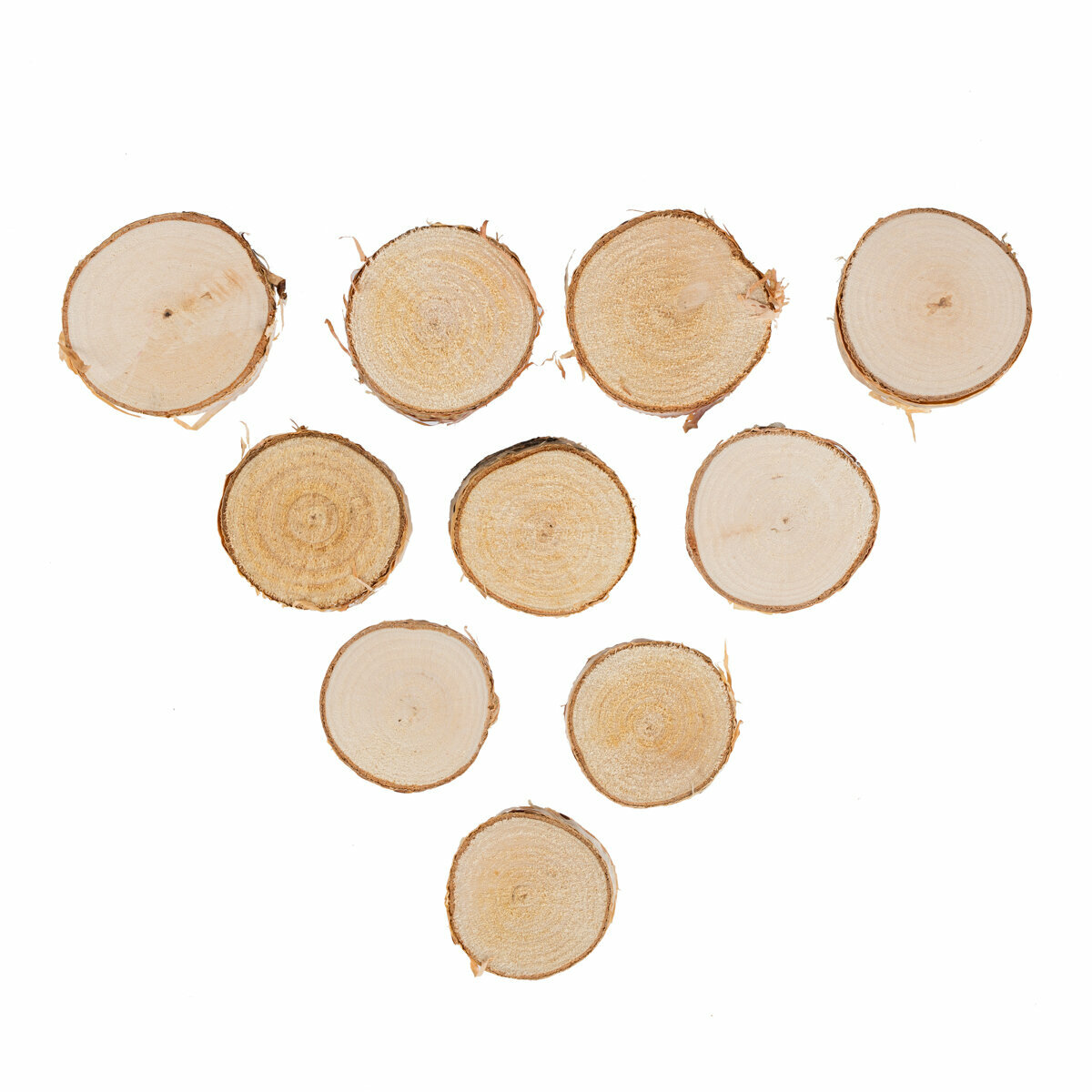 Blumentag СРЕЗ-22-AE19 срез дерева береза диаметр 3-5 см, 10 шт, натуральные для декора