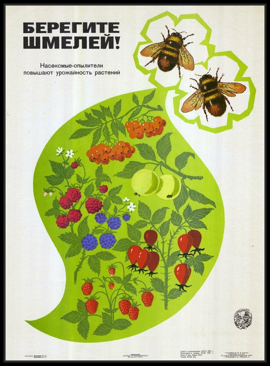 Плакаты СССР об экологии, природе, лесном фонде, лесхозе, лесном хозяйстве, лесниках, лестничестве; Антиквариат 1972 г; Декор настенный винтажный 44/59 см.