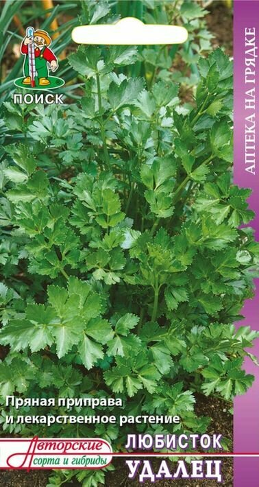 Семена Любисток Удалец 1г (Поиск)