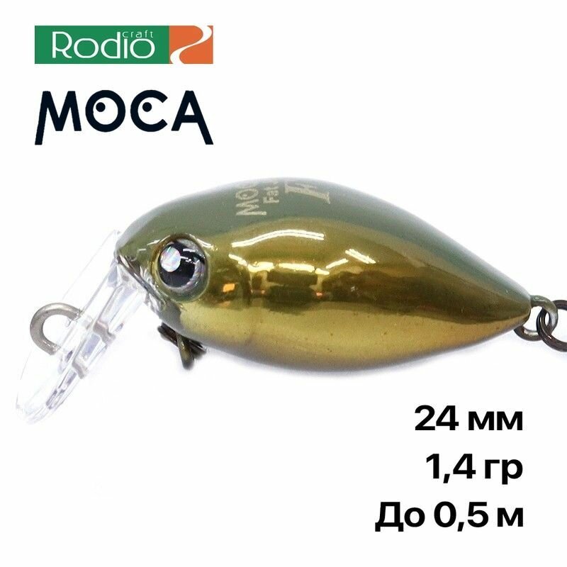 Воблер форелевый Rodio Craft Fat Moca Jr SR F, 24 мм, 1,4 гр, #17