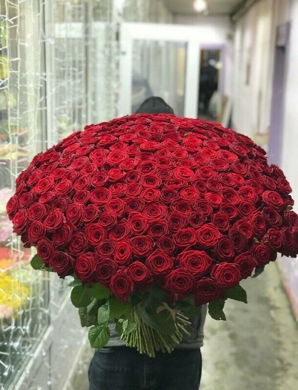 Монобукет Well Flowers "Красная роза", 201 цветок, длина 70 см, свежий букет цветов