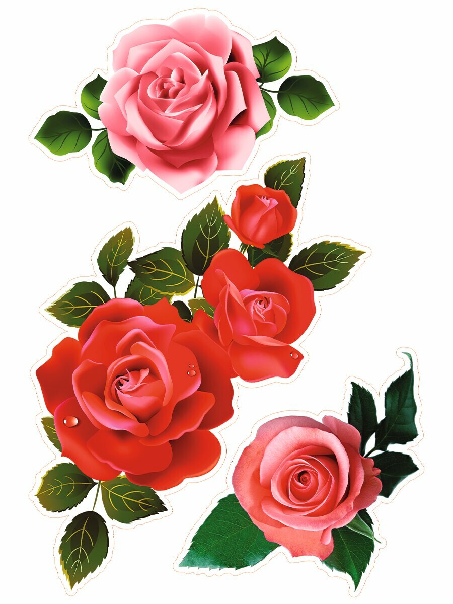 Наклейка интерьерная Розы