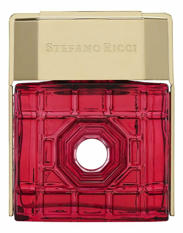 Stefano Ricci Sochi Парфюмерная вода унисекс 100 ml