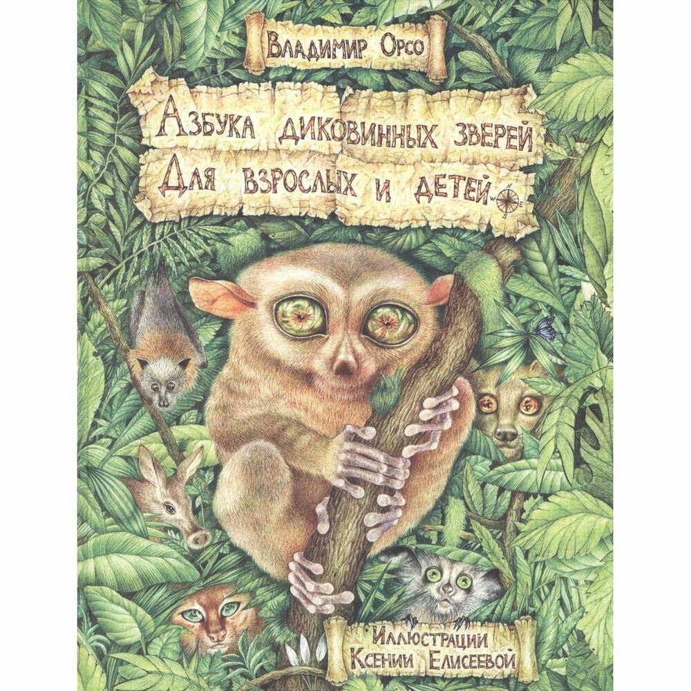 Книга Этерна Азбука диковинных зверей. Для взрослых и детей. 2021 год, В. Орсо