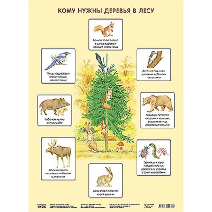 Плакат Мозаика-Синтез Кому нужны деревья в лесу, А1