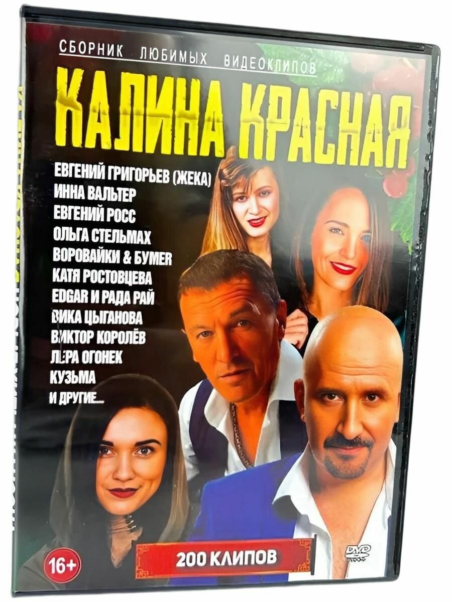 Калина Красная - Видеоклипы - DVD диск
