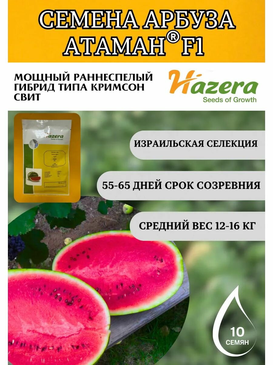 Cемена арбуза Атаман F1 10 шт