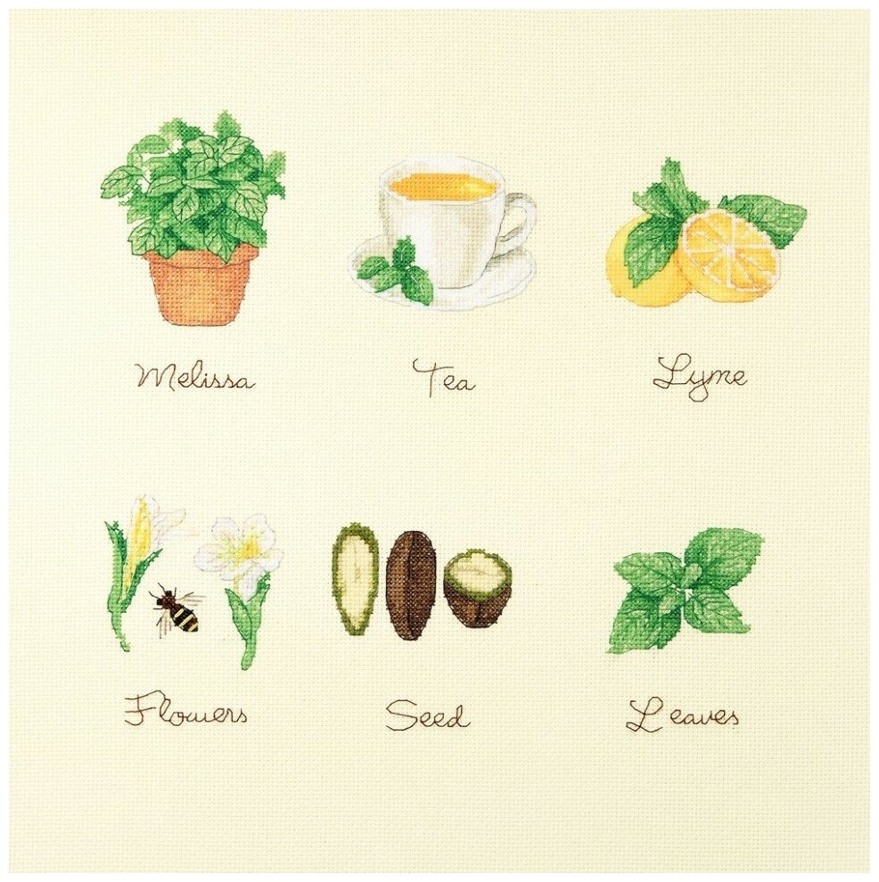 Набор для вышивания Xiu Crafts #2032008 Счастье растений, Счетный крест, 36 х 36 см