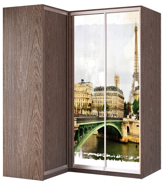 Шкаф-купе угловой Премьер-19 для одежды трехдверный 100*220*60