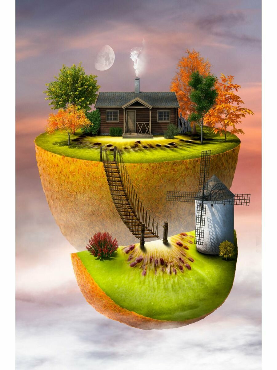 Постер "Земля киви"