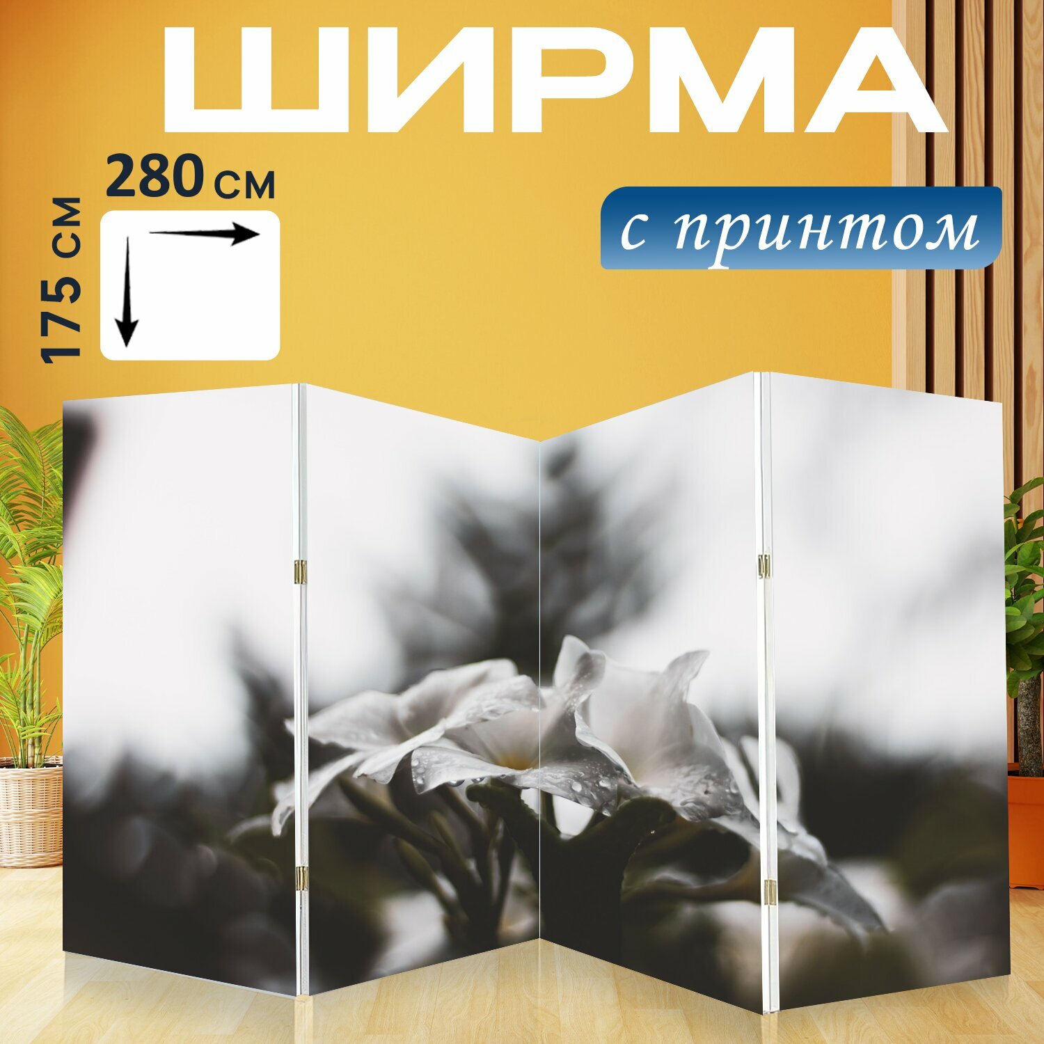Ширма "Цветы, природа, сад" перегородка для зонирования комнаты с принтом 280x175 см. на холсте