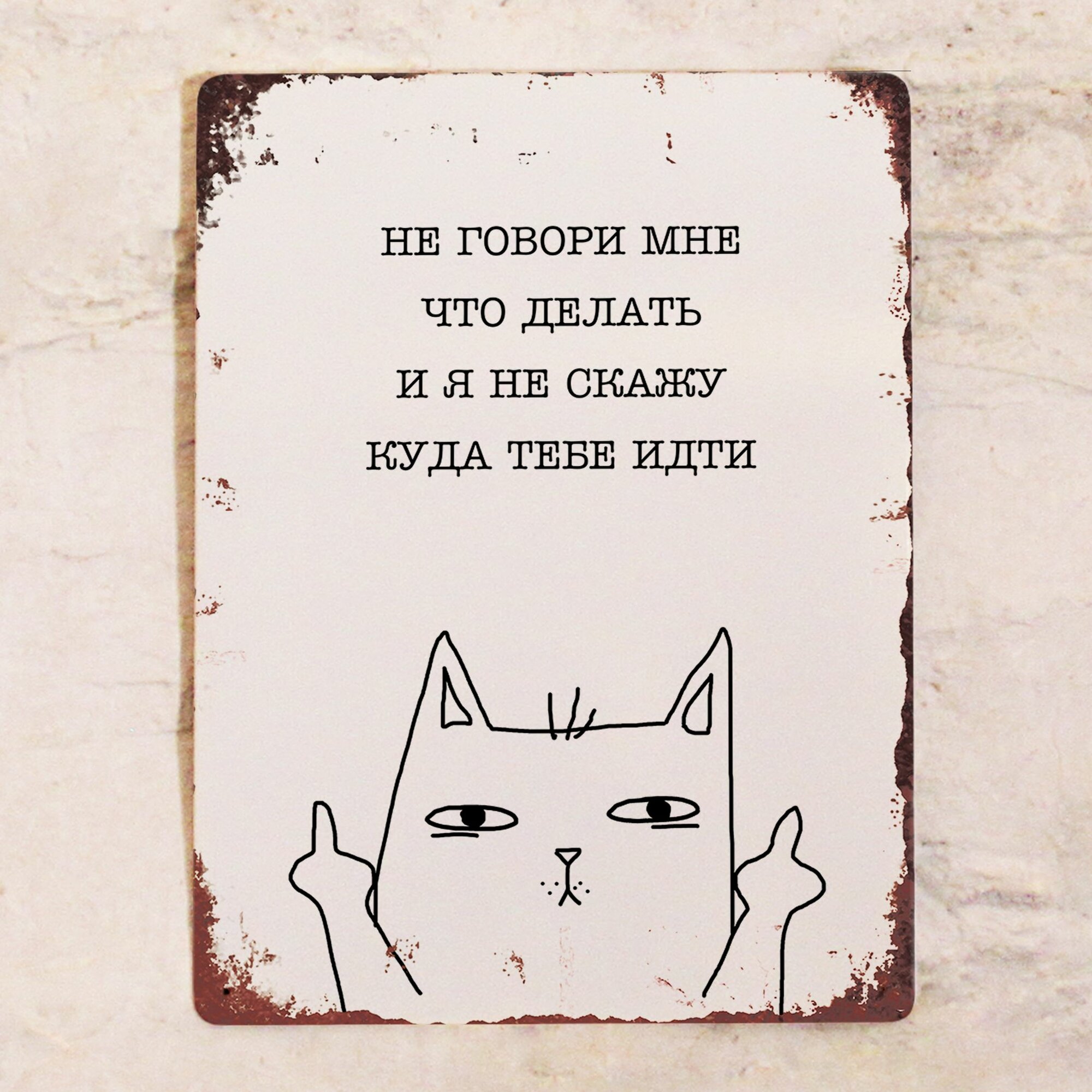 Прикольная табличка для офиса Не говори что делать, и я не скажу куда идти с котиком, металл, 20х30 см.