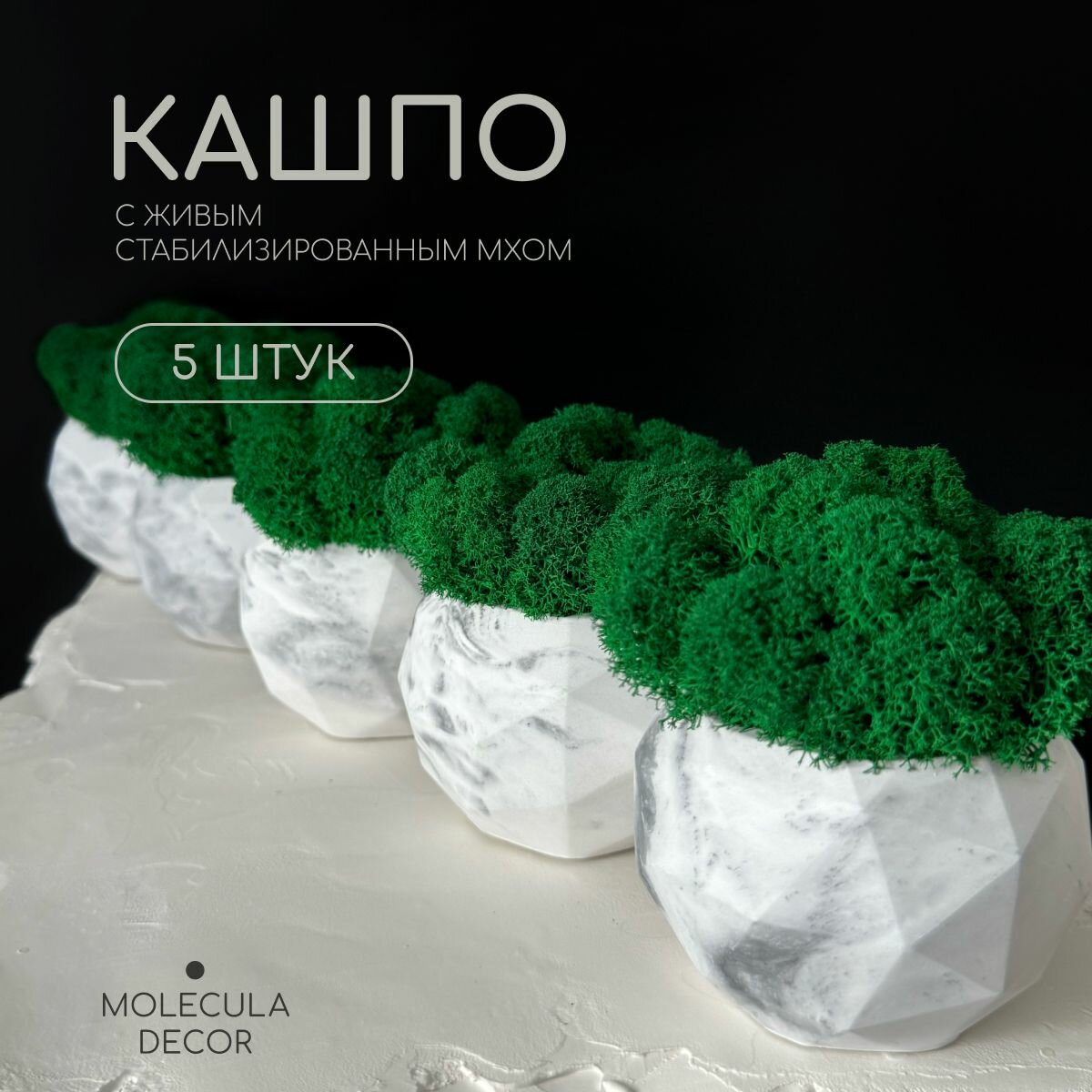 Набор ваз 5 шт из гипса со стабилизированным мхом для цветов сухоцветов настольный