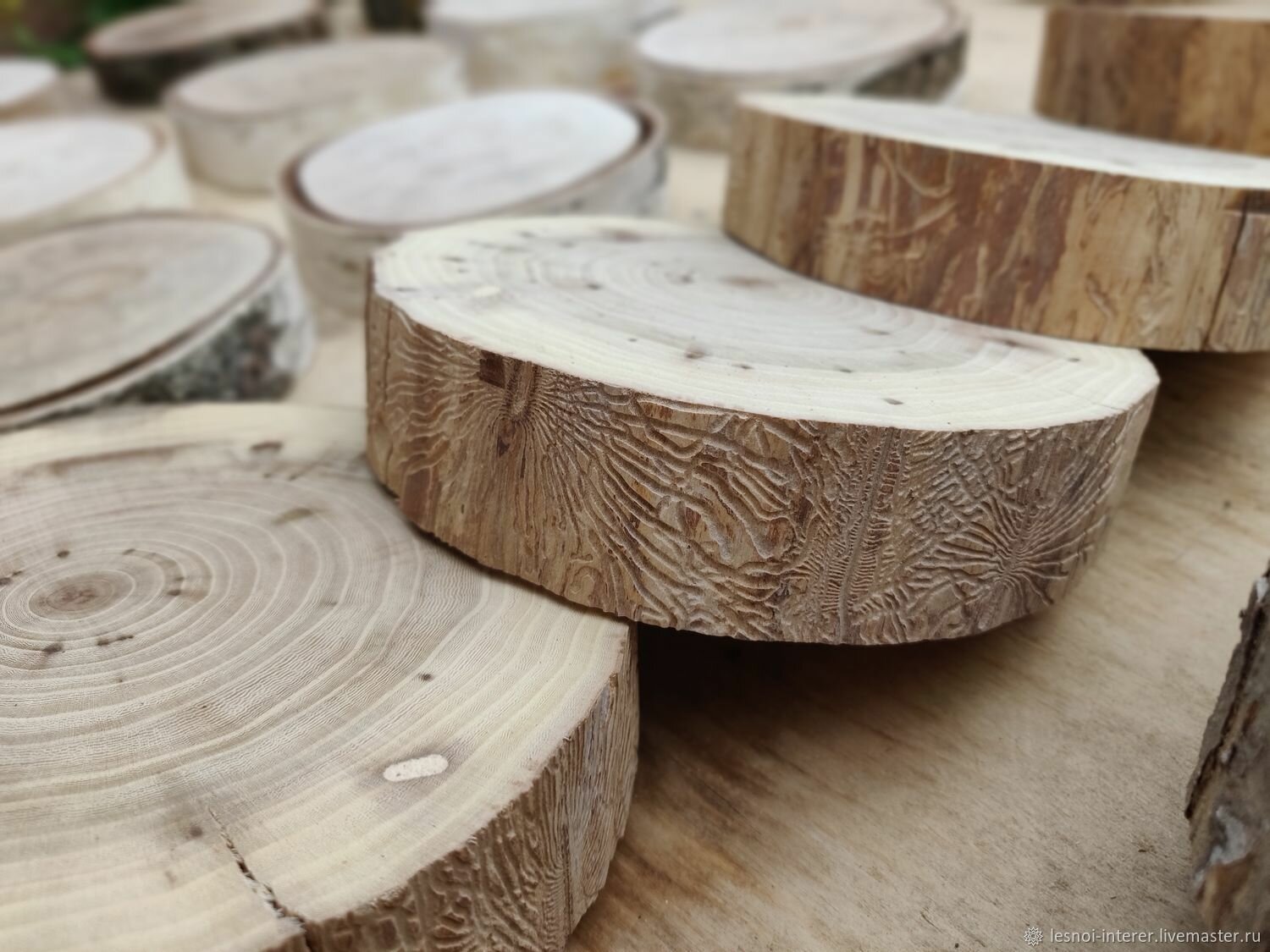 Спил сосны, кругляши шлифованные толщина 10 см диаметр 35 мм