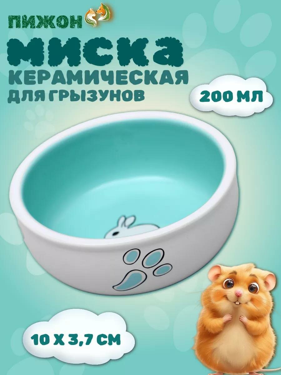 Миска керамическая для животных 200 мл 10 х 4 см, бело-зеленая