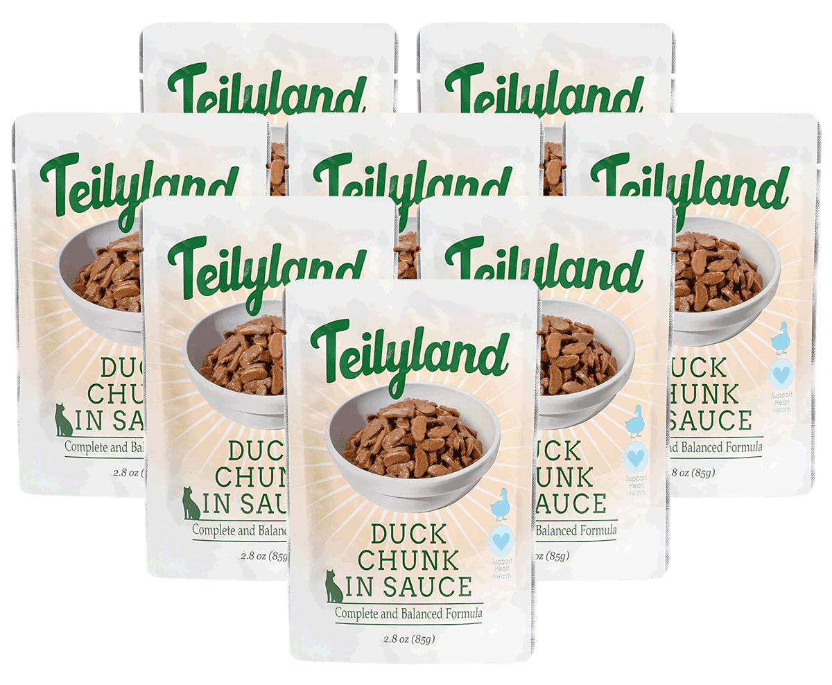 Корм влажный Pettric Teilyland для кошек, утка, 85 г х 8 шт