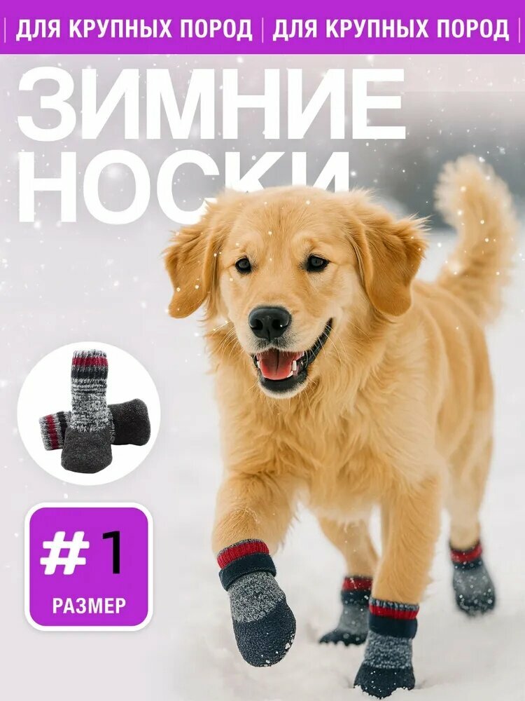 Обувь для собак