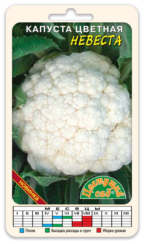 Семена Капуста цветная Невеста 0.5г (Цветущий Сад)