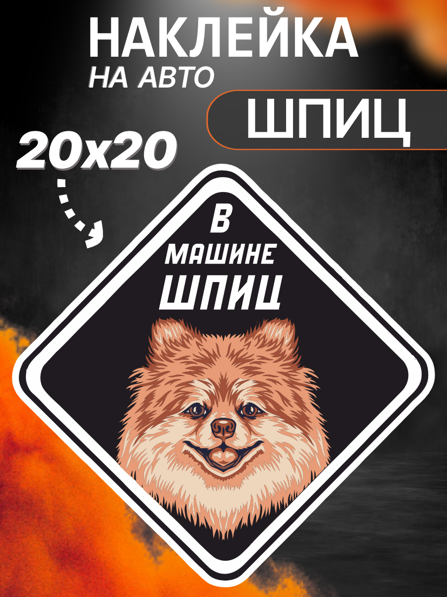 Наклейка на авто Шпиц в машине