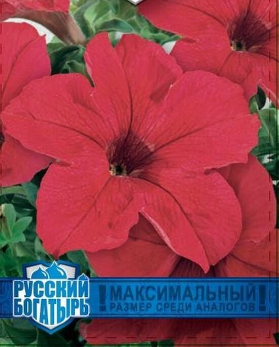 Семена растения Петуния Великая красная F1, серия Русский богатырь