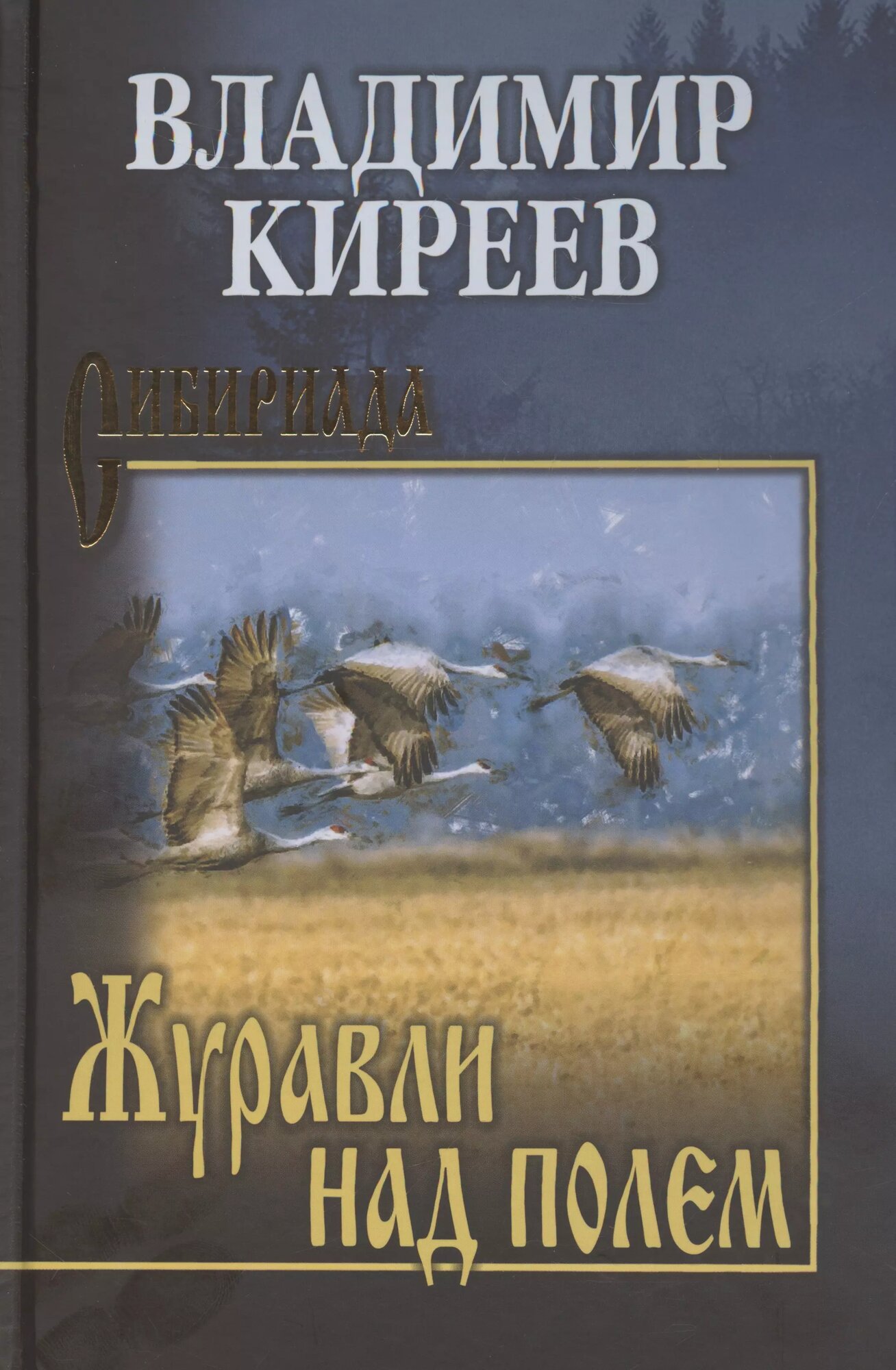 Журавли над полем (Владимир Киреев)