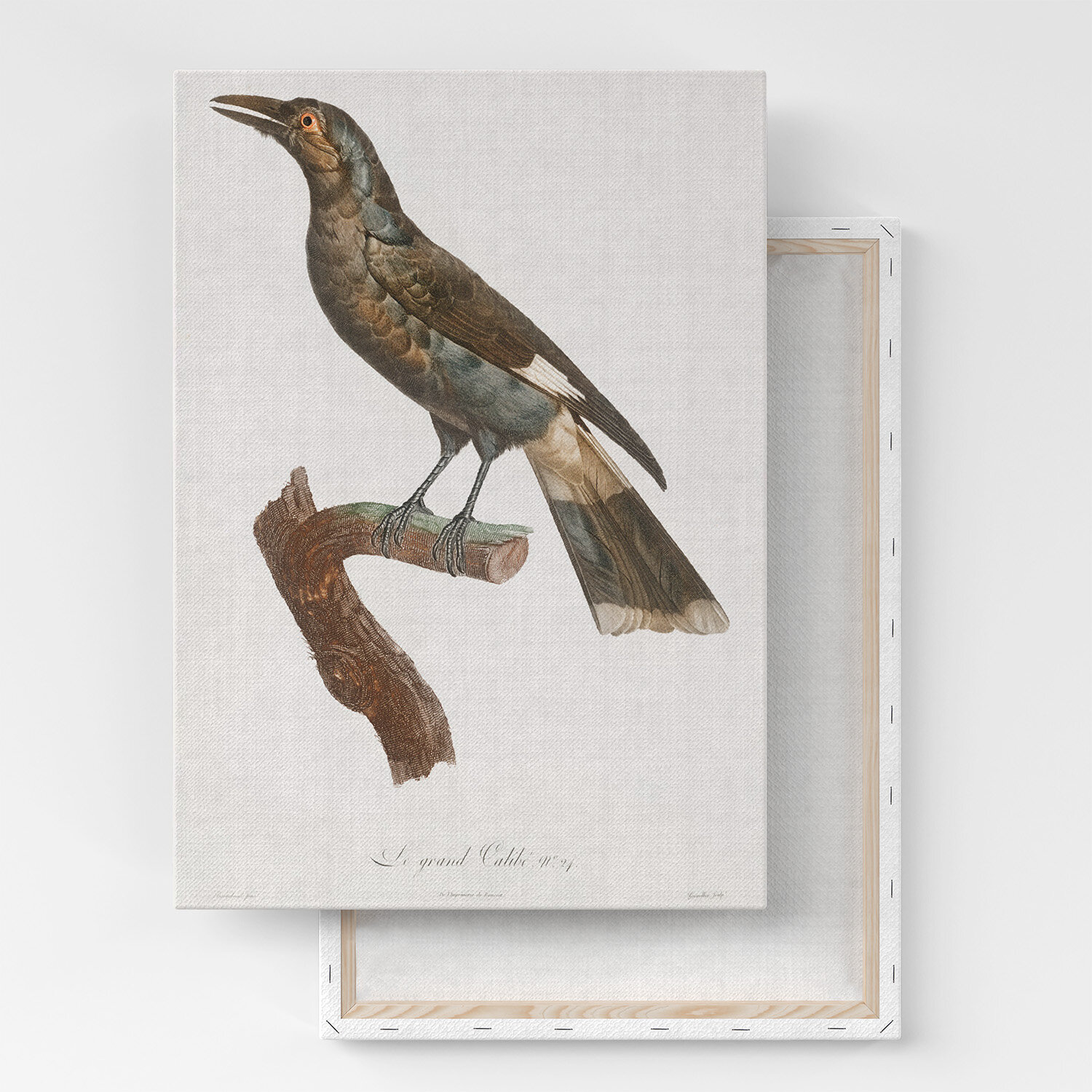 Картина на холсте, репродукция / Des Oiseaux de Paradis / Размер 60 x 80 см