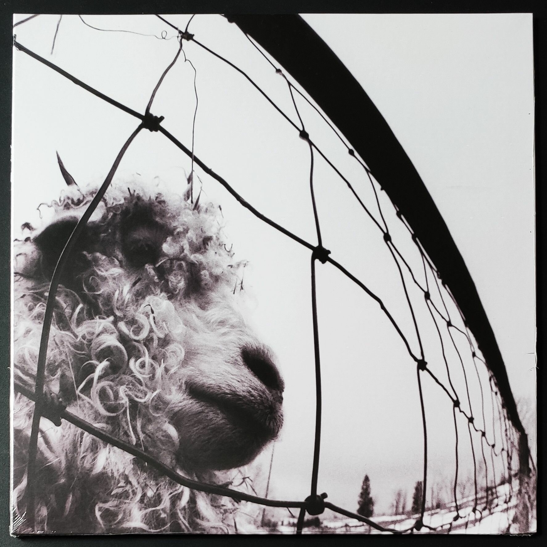 Виниловая пластинка PEARL JAM - Vs. (LP, 2016, Sony Music)