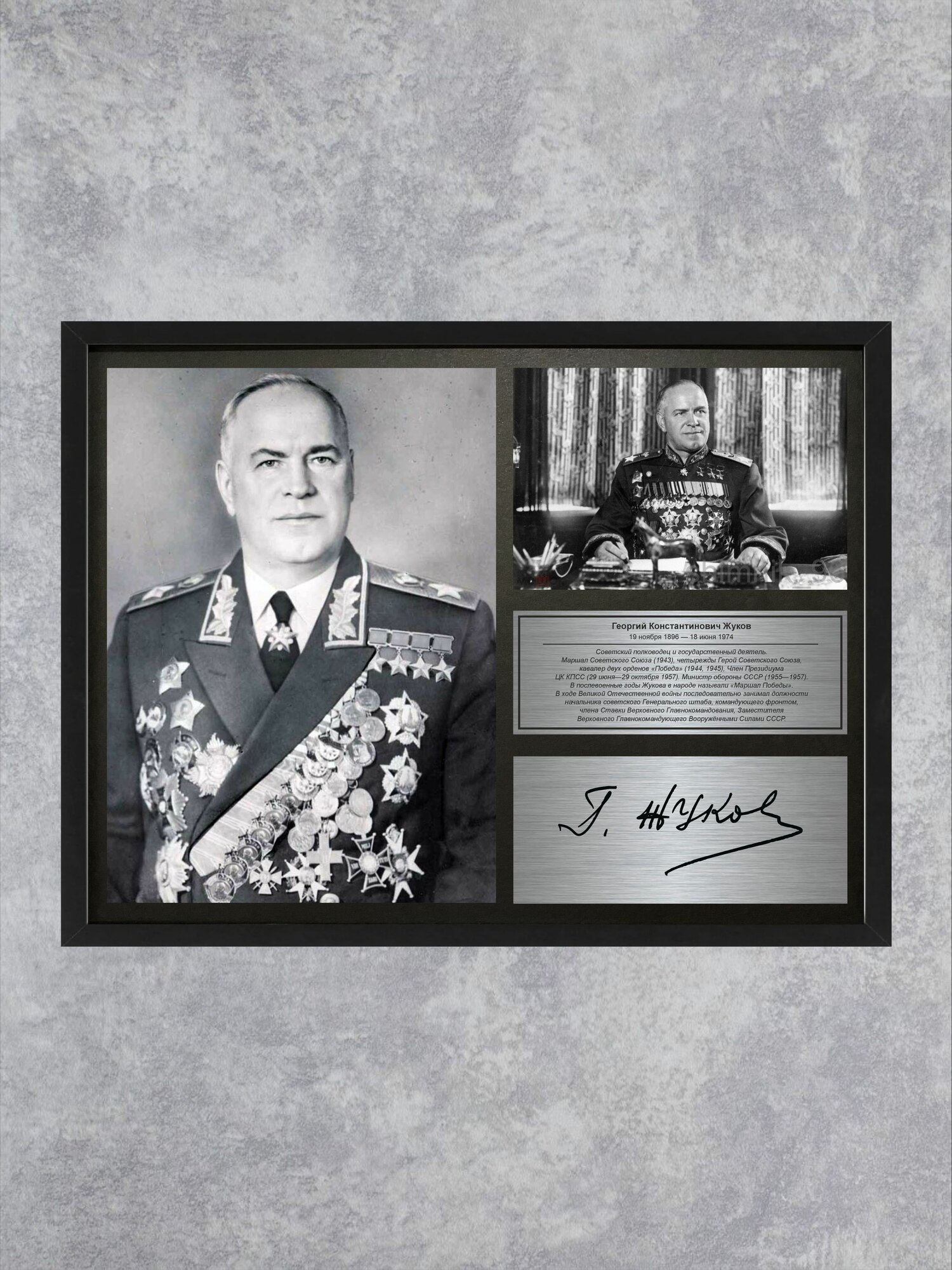 Георгий Жуков Картина панно с автографом 33х43 см