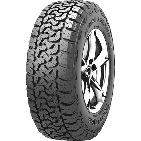 Летние автошины Westlake Terra Legend SL399 235/70 R16 106S 03010440001N6M90J101