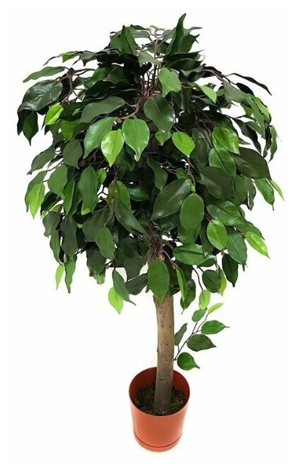 Искусственное растение Фикус бенджамина от бренда Holodilova