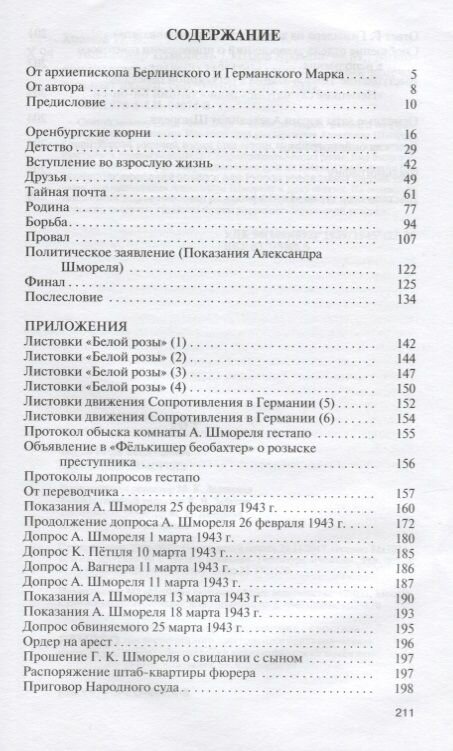 Александр Шморель — фото 1