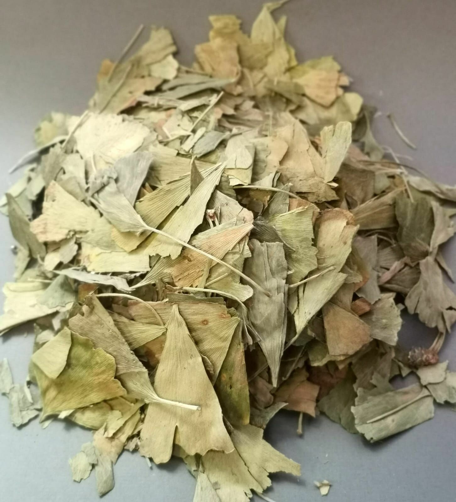 Гинкго Билоба лист сушеный 500 гр KINGSPICE