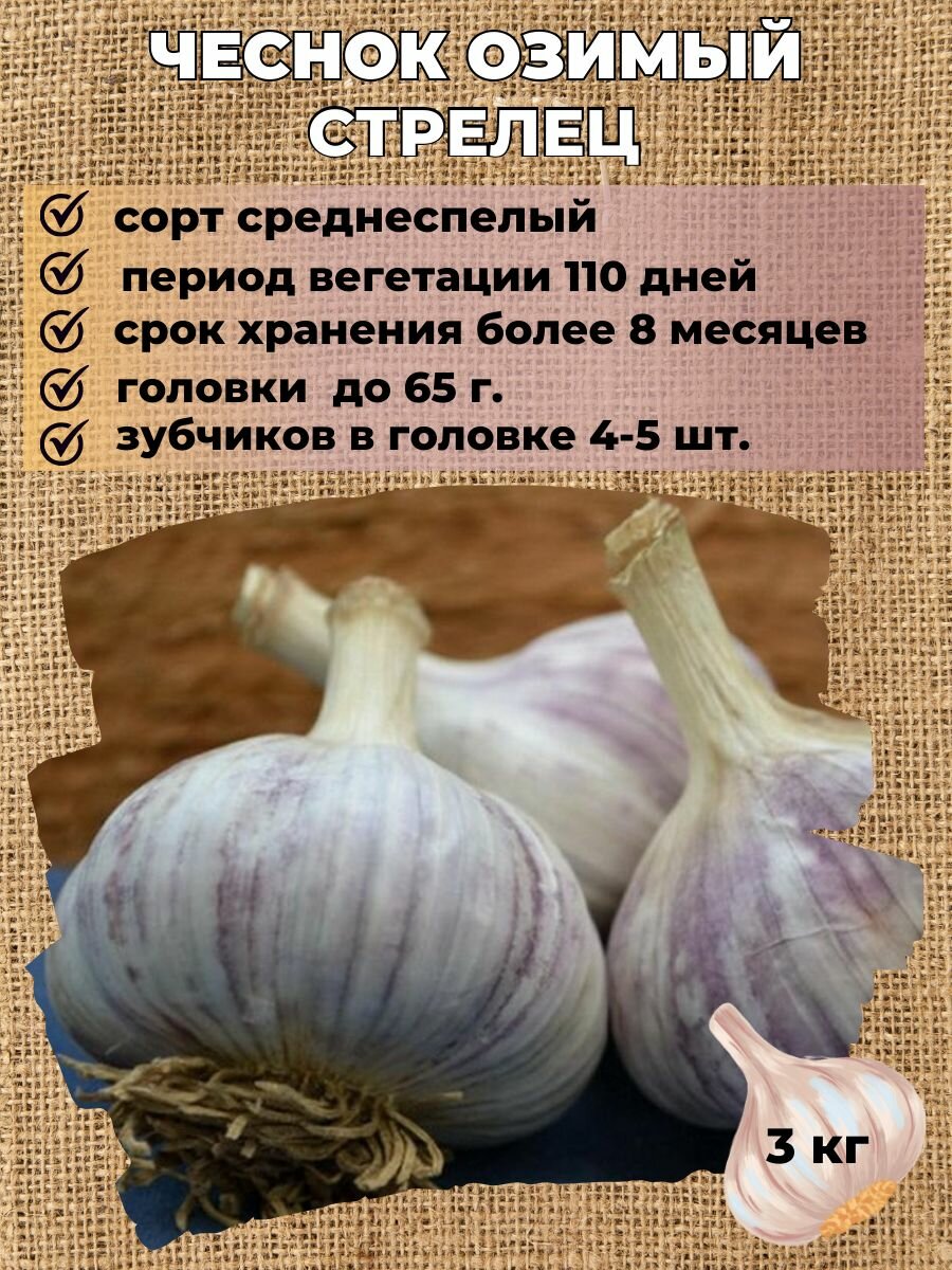 Чеснок озимый на посадку, 3 кг.