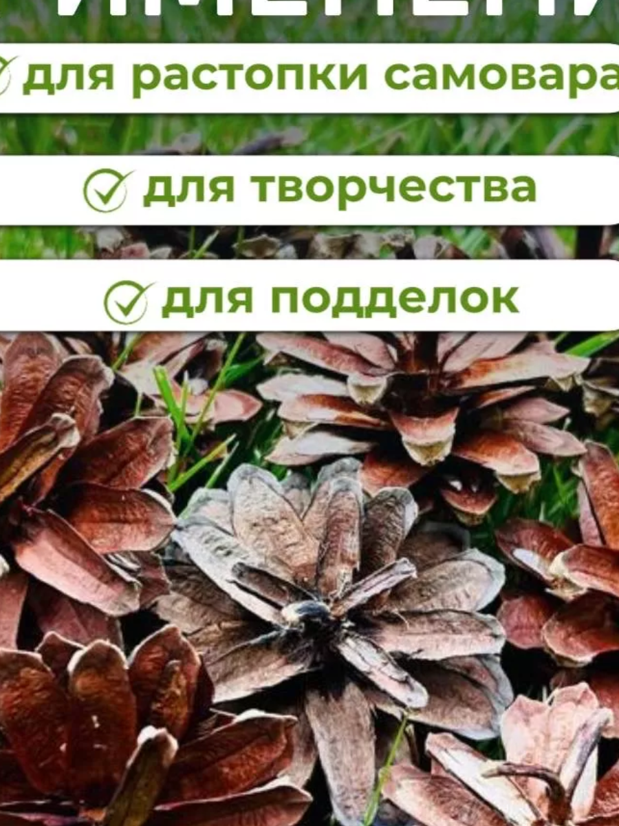 Сосновые шишки 30 шт для самоваров и поделок