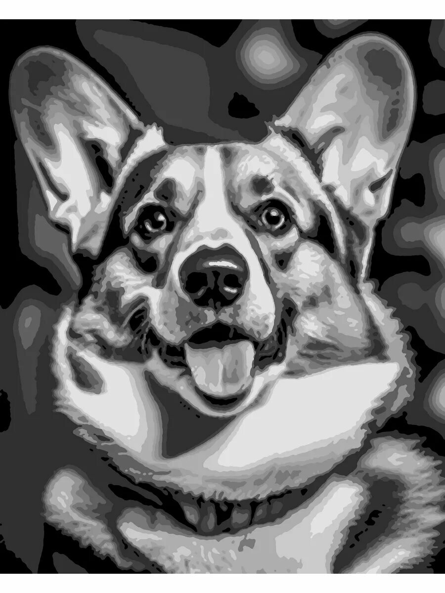 Картина по номерам Корги 40х50 см