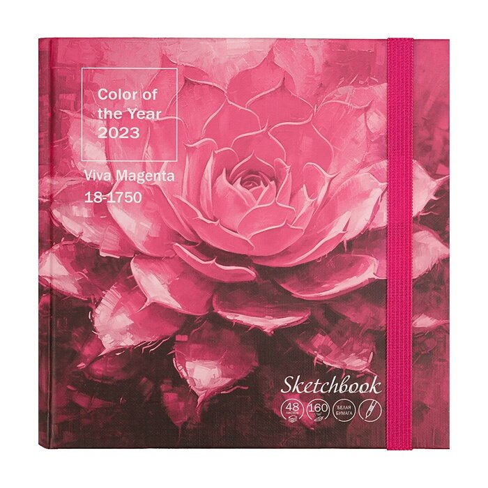 Скетчбук Проф-пресс 48 листов "Viva Magenta" 160 г/м2 на резинке (48-5186)