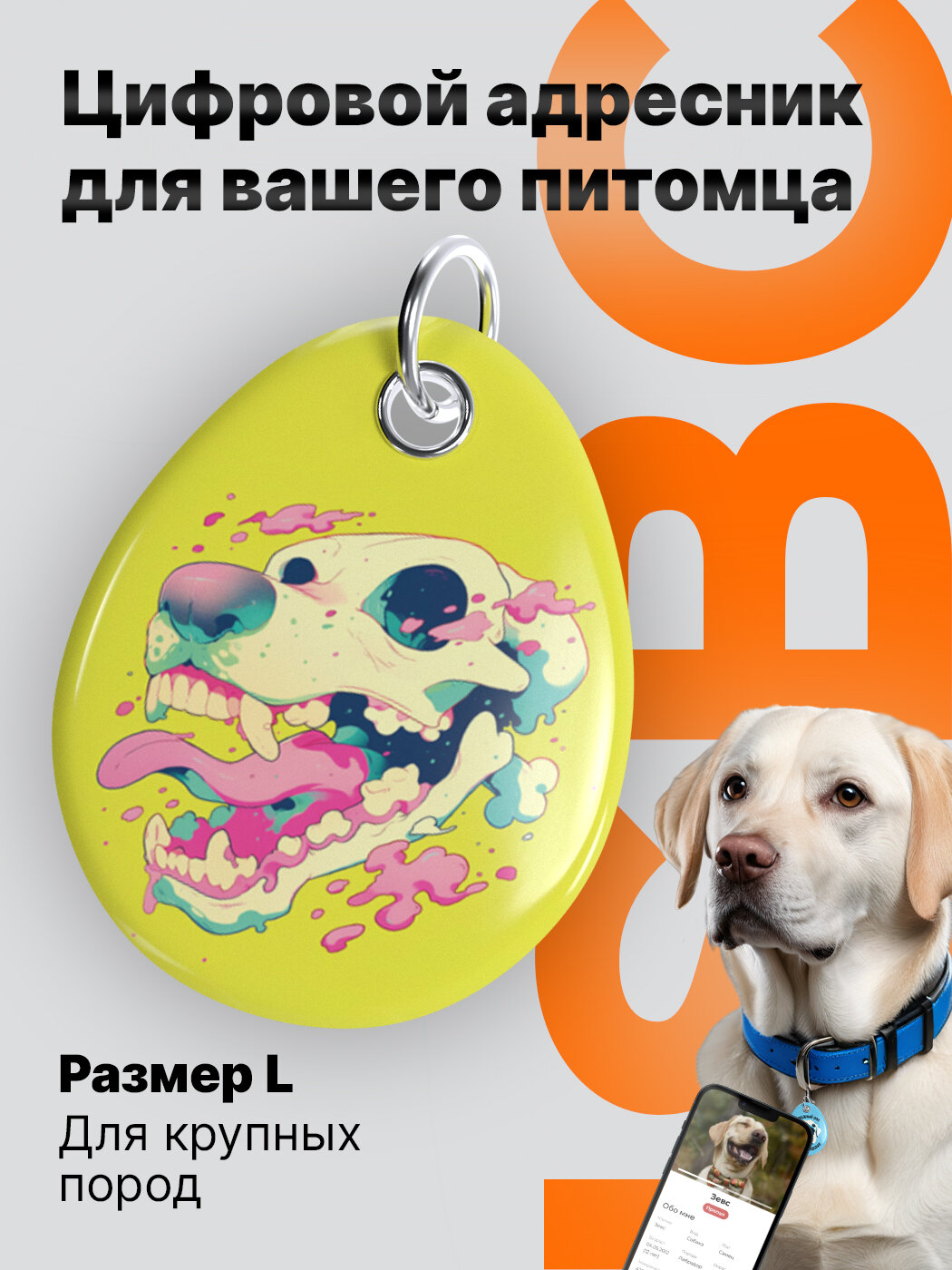 Адресник для собак средних и крупных пород от ISBC с NFC и QR-кодом, Кисляк