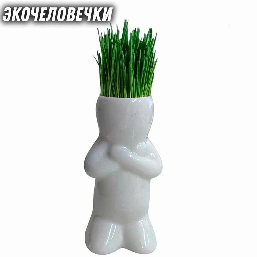 ЭкоЧеловечки Кашпо, набор для выращивания травы