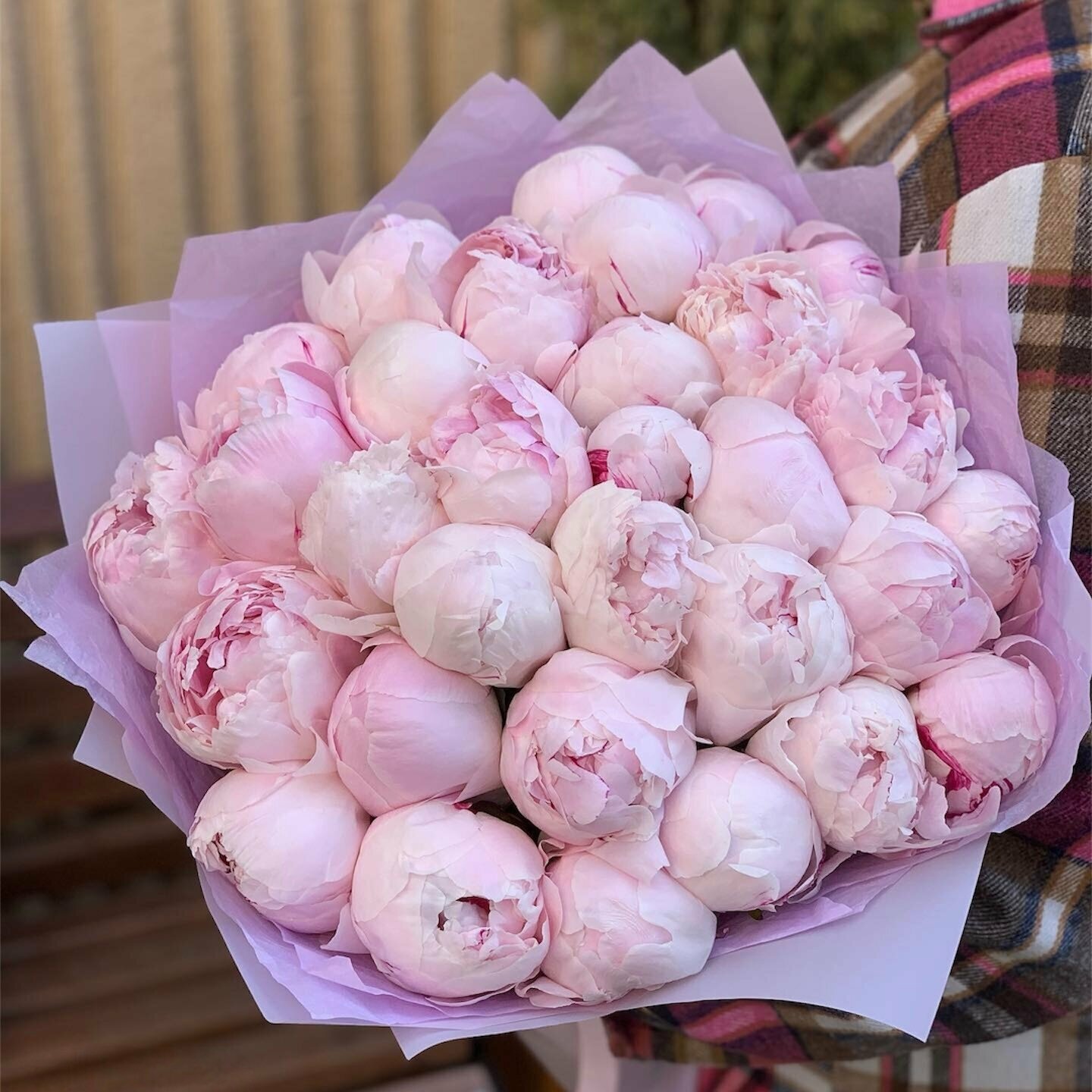 Букет из розовых пионов 29 шт, красивый букет цветов, шикарный, премиум цветы, премиум букет