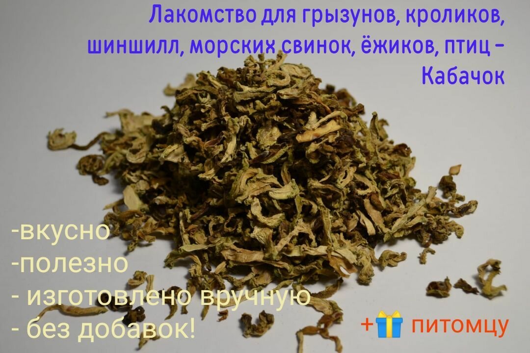 Лакомство для грызунов, шиншилл, кроликов, морских свинок, птиц Кабачок