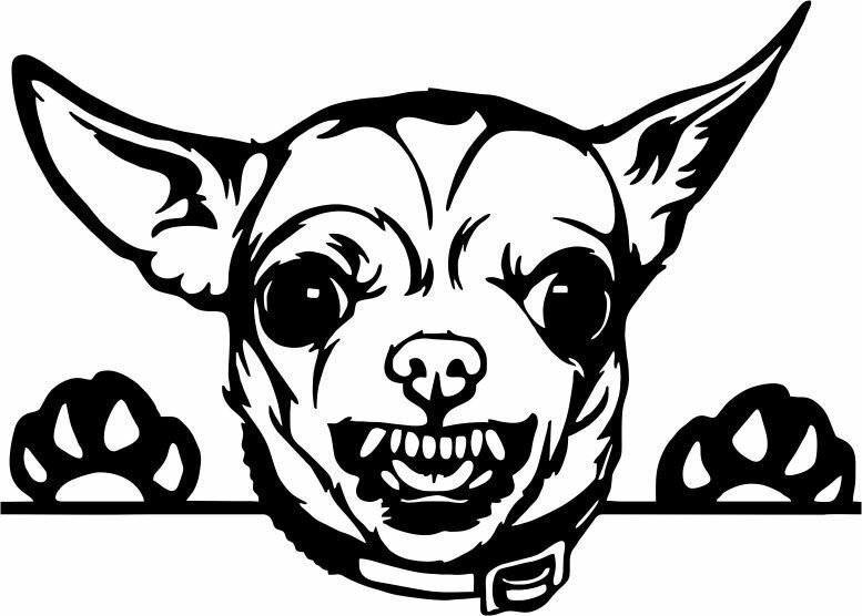 Наклейка виниловая на автомобиль Чихуахуа