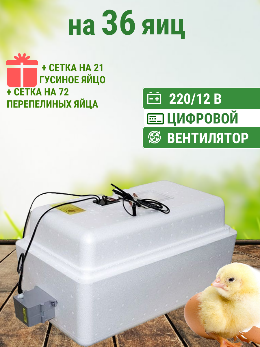 Инкубатор Несушка на 36 яиц с вентилятором цифровой 220/12 В